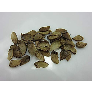 1195-Dwarf White Crape Myrtle (Lagerstroemia Indica) Seeds by Robsrareandgiantseeds UPC0764425788447 Non-GMO,Organic,USA Grower,Bonsai,Showy, Butterfly Flower,1195 Package of 10 Seeds