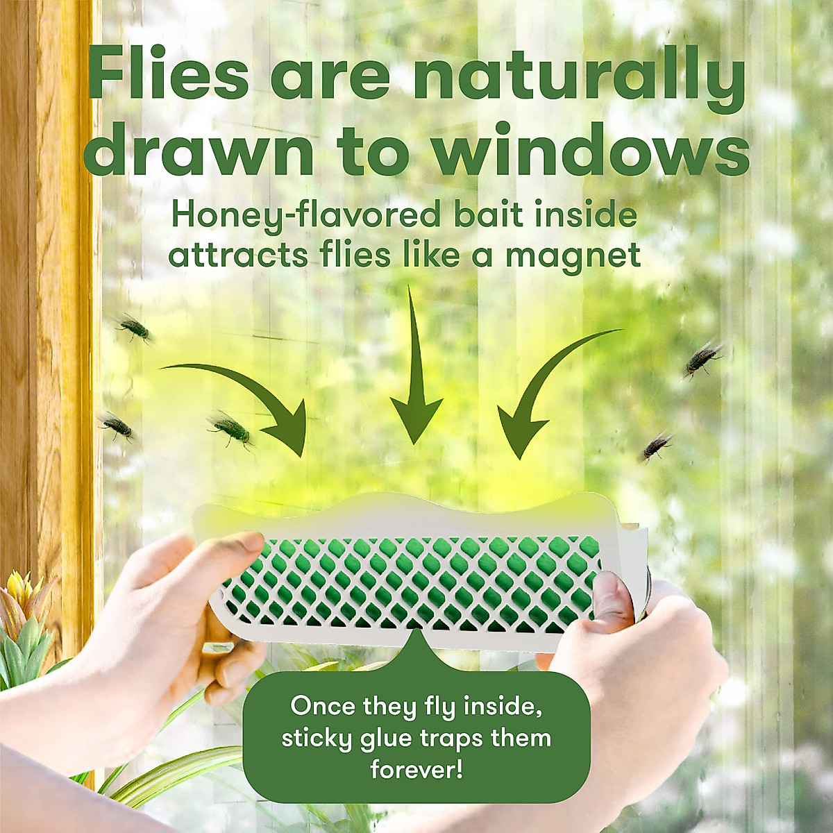 BugMD Barfly - Window Replacement Traps (6 Pack) - Window Fly Paper, Fly Trap Indoor, Window Fly Strips, Window Fly Tape, Indoor Fly Trap for Home, Fly Catcher Indoor, Indoor Fly Control