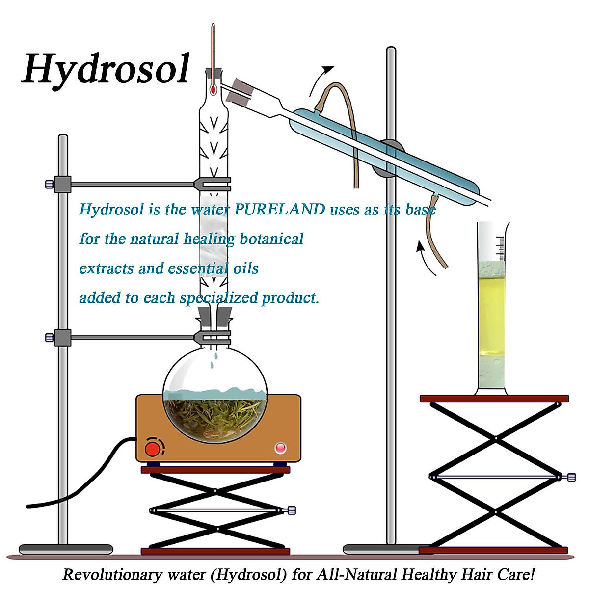 Pureland Beauty Rejuvenate Cleansing Dew - All Natural Hair Shampoo for Normal to Fine and Thin Hair - Deeply Cleansed Skin Pores - Scalp Care and Provide Your Hair Healthy Growth - 8.5 Ounce