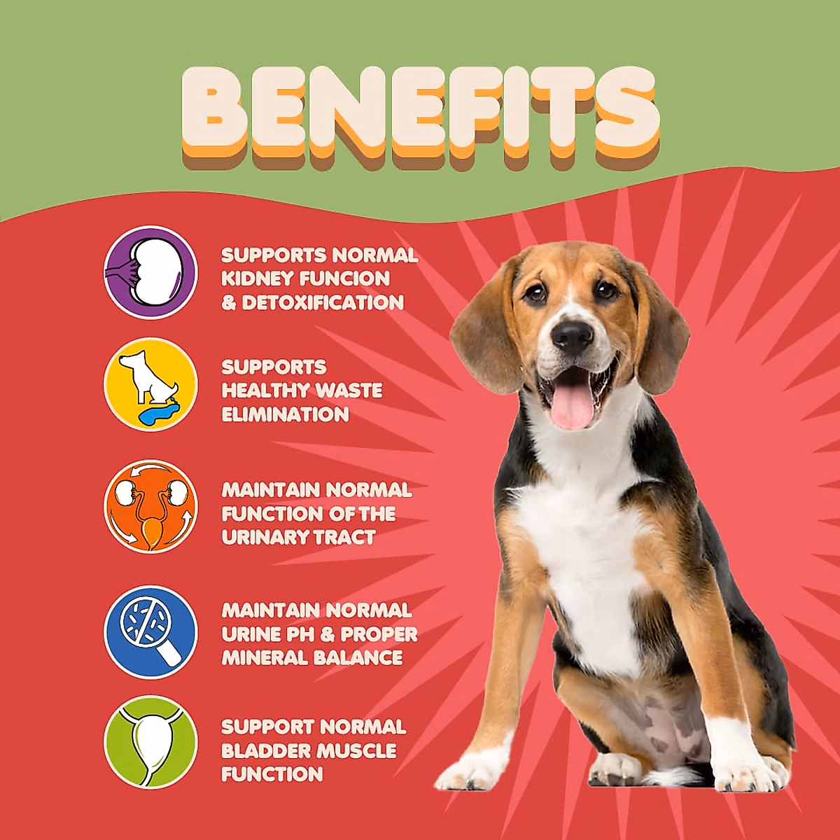 Dog Cranberry Supplement - Natural Dog UTI Treatment & Kidney Support for Dogs. Dog Supplement Powder Same as Cranberry Pills for Dogs. Puppy Supplies for Dog Pee Health - Dog Incontinence Product