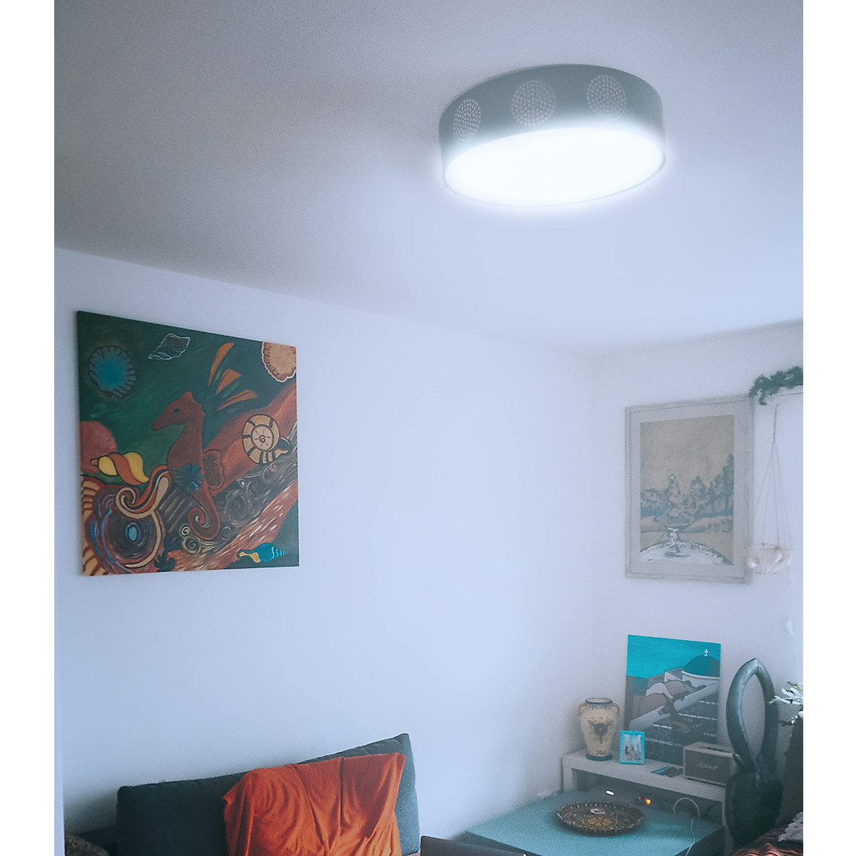 Ciata FC16T9/CW Fluorescent T9 Circline Ceiling Light Bulb, 40 Watt, 4100K - 2 Pack