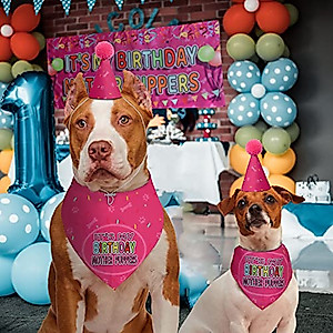 Odi Style Dog Birthday Party Supplies - Dog Birthday Girl Gift Set - Dog Birthday Bandana for Large, Medium Dogs, Puppy, Dog Party Hat and Cute Dog Birthday Banner, Pink