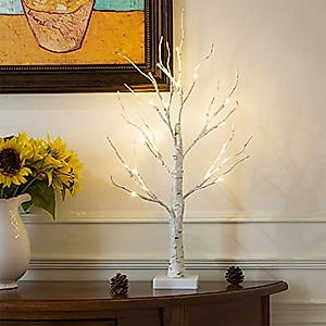 EAMBRITE Tabletop Tree Home Decorations, Mini Birch Tree with Lights, 24 LED Money Tree White Twig Tree Battery Operated with Timer, Christmas Centerpiece, Mothers Day, Spring Decor(2FT/Warm White)