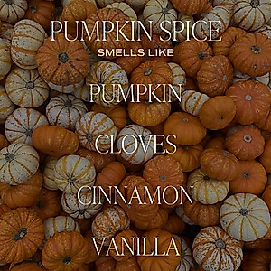 Sweet Water Decor Pumpkin Spice Soy Candle | Pumpkin, Cloves, Buttercream, Cinnamon, Smoke Embers, and Vanilla Scented Candles for Home | 12oz Cream Stoneware Jar, 60+ Hour Burn Time, Made in the USA