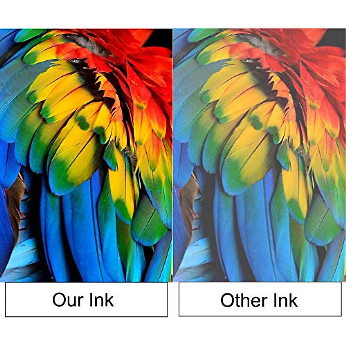 F FINDERS&CO SG400 Sublimation Ink Cartridge DYE High Yield Compatible for Sawgrass Virtuoso SG 400 SG800 Printer (2X Cyan, 40ML)