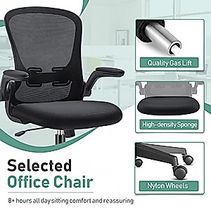 Furmax Ergonomic Office Chair Desk Chair with Flip Up Armrests Mesh Computer Chair Executive Swivel Task Chair with Lumbar Support (Black)