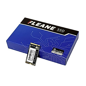 FLEANE FT42A 1TB M.2 42mm 2242 PCIe 3.0 x4 NVMe SSD 3D NAND TLC High Performance Internal Solid State Drive Compatible with Laptop Desktop Notebook PC