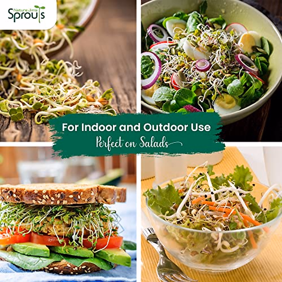 Nature Jims Clover Sprout Seeds – 16 oz Organic Sprouting Seeds – Non-GMO Premium Clover Seeds – Resealable Bag for Longer Freshness – Rich in Vitamins, Minerals, Fiber