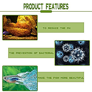 LeonBach 100 Pcs Large Catappa for Fish, Creates Native Environment Indian Almond Leaves Catappa Leaves Beta Fish Leaf