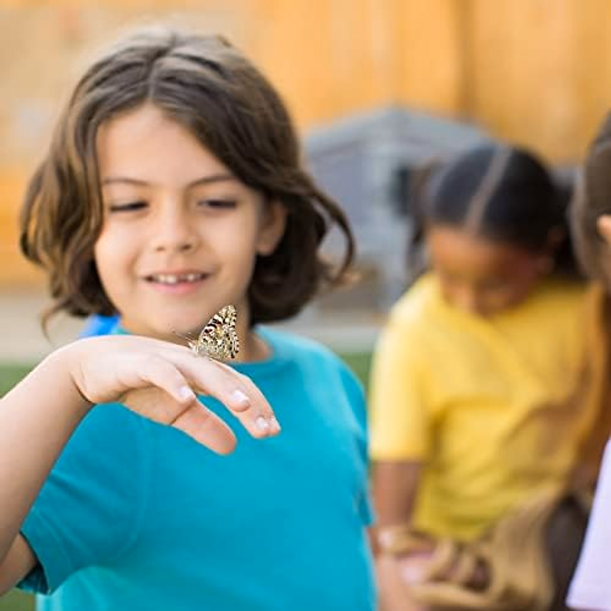 Insect Lore Butterfly Pavilion: Pavilion Habitat and Two Live Cups of Caterpillars with STEM Butterfly Journal – Life Science & STEM Education – Butterfly Kit
