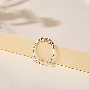 KnBoB Women Hollow Lantern Round Shape 0.088ct Sapphire Ring 18K Rose Gold & 18K White Gold Promise Wedding Engagement Bridal Anniversary Ring Size 6.5