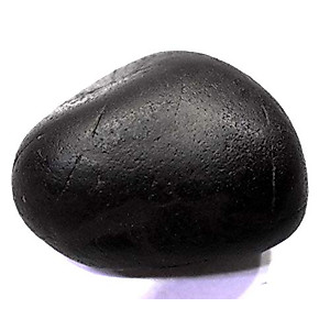 Rudrakshguru Matsya Shaligram - Gandaki River Nepal