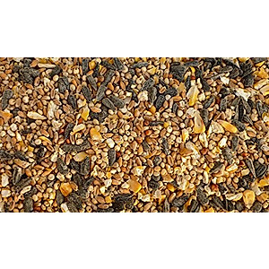 Modesto Milling Organic, Non GMO Scratch, 10 lbs; Item# 732