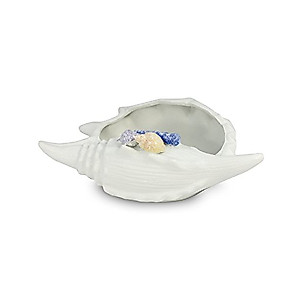 Dahlia White Seashell Ceramic Succulent Planter/Plant Pot/Flower Pot/Bonsai Pot