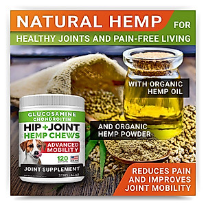 Large Breed Hemp + Glucosamine Dog Joint Supplement - Hemp Chews for Dogs Hip Joint Pain Relief - Omega 3, Chondroitin, MSM - Advanced Mobility Hemp Oil Treats for Large Dogs - Made in USA - 240 Ct