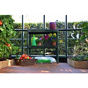 Rion Palram - Canopia 2-Tier Greenhouse Work Bench, Dark Green, 31.4''Lx15.7''Wx33.4''H