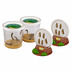 Insect Lore Butterfly Garden | 10 Live Baby Caterpillars | Habitat, STEM Journal, Chrys-A-Lids, Feeder | Raise and Release Painted Lady Butterflies