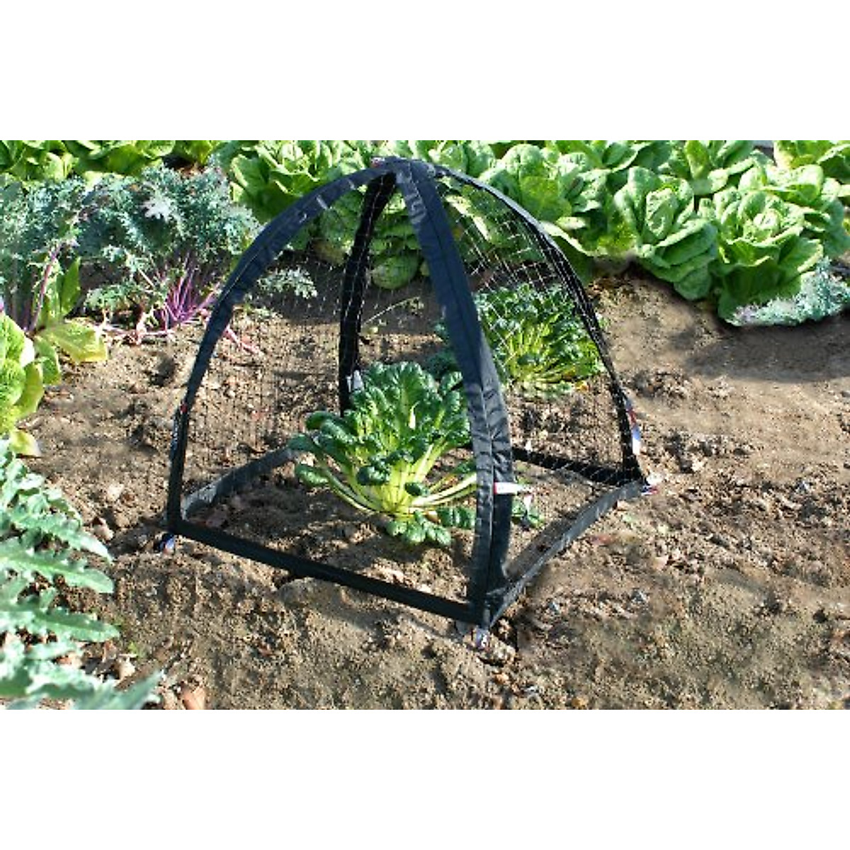 Nuvue PestGuard Mesh Framed Animal Pest Control Cover Size: 22"