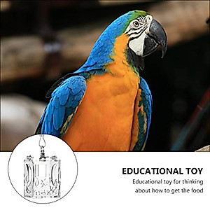 balacoo Bird Parrot Acrylic Foraging Toy Creative Hanging Parakeet Treat Feeder Toy Transparent Cockatiel Food Toys for Parakeet Cockatiel Conure
