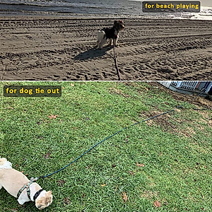 BTINESFUL Tie-Out Check Cord Long Rope Dog Leash, 12ft 20ft 30ft 50ft Recall Training Lead Leash- Great for Large Medium Small Dogs Training, Playing, Camping, or Backyard (30ft, Blue Black)