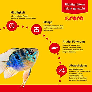 Sera 508 Catfish Chips 13.4 oz 1.000 ml Pet Food, One Size