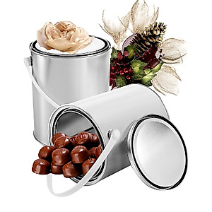 WUWEOT 2 Pack Empty Paint Can, 1 Gallon Metal Unlined Paint Bucket, Paint Pails Paint Jars with Lid and Carry Handle