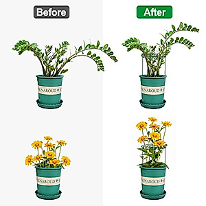 CKE 10 Pack 4mm 18 Inches Peony Cages Plant Support Plant Stakes Grow Through Grid Plant Supports Grow Through Hoops, Metal Peony Support Ring Plant Brace Flower Support Ring for Heavy Blossom 12"x18"