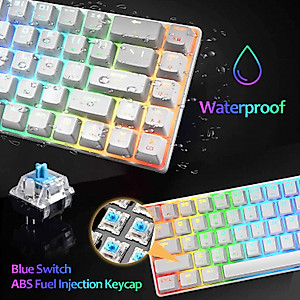 LexonElec MK 68 60% Mechanical Gaming Keyboard,Type-C Wired Computer Keyboard,18 Chroma RGB Backlit Keyboard Blue Switches,68 Keys Anti-ghosting for Laptop PC Gamer(White RGB)