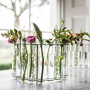 25PCS Plastic Test Tubes with Lids – 10ml Clear Plastic Tubes with Cork Stoppers 16x100mm Small Clear Plastic Tube Containers for Solids & Liquids Storage Test Tubes for Plant Propagation