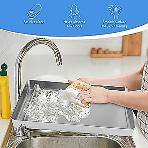 Stainless Steel Reusable Litter Tray Compatible with Petsafe Scoop-Free Self-Cleaning Cat Litter Boxes - Never Absorbs Odor, Stains, or Rusts (Stainless Steel Litter Tray)