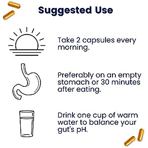 Better Body Co. Original Provitalize | Natural Menopause Probiotics for Weight Gain, Hot Flashes, Night Sweats, Low Energy, Mood Swings, Gut Health. Unique Probiotics Formula