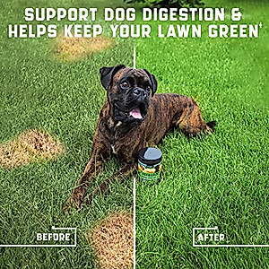 Green Lawn Chews for Dogs - Cranberry, ACV, Digestive Enzymes - Natural Dog Urine Neutralizer for Lawn - Supports Healthy Bladder, Urinary Tract - 180 Tasty Dog Treats for Yellow Burn Grass Spots
