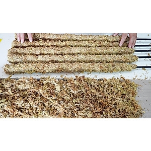 Kapecute Sphagnum Moss Pole for Plants, 2 Sticks 25 Inch Bendable Plant Stakes Made of Real Sphagnum Moss, Good for Climbing Plants Monstera and Other Creeper Plants Grow Upwards