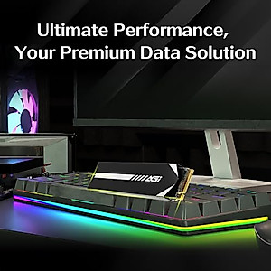 AGI 1TB AI818 PCIe NVMe M.2 Gen4x4 SLC Cache 3D TLC NAND Flash Internal Solid State Drive SSD with Heat Sink (R/W Speed up to 5000/4500 MBs)