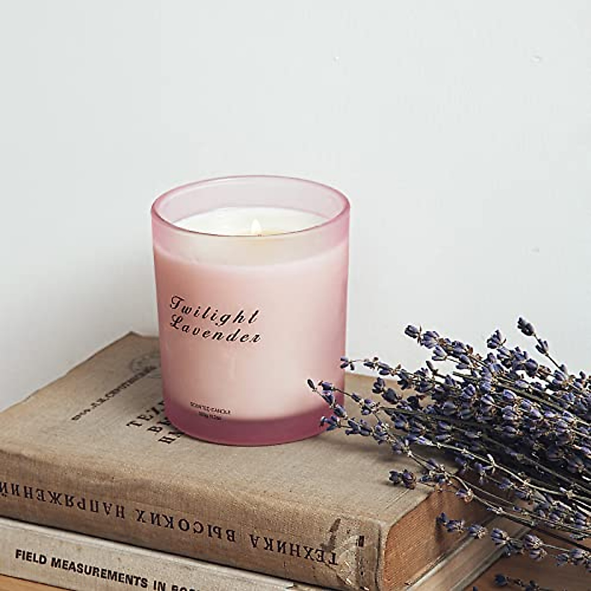 2 Pack Lavender Candles | Candles For Home Scented | 11.3 oz 100% Natural Soy Wax|70 Hours Burning Times | Aromatherapy Candles Gifts For Women Birthday Mom Best Friends | House Warming Gifts New Home