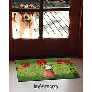 Toland Home Garden 800050 Potted Frog Spring Door Mat 18x30 Inch Summer Outdoor Doormat for Entryway Indoor Entrance