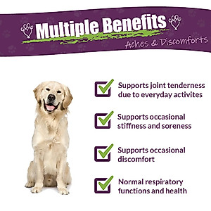 Amber NaturalZ - ADIZONE - Aches & Discomforts - for Dogz - 4 Ounce