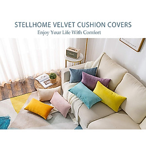 Stellhome Pack of 2 Super Soft Throw Pillow Covers Rectangle Solid Velvet Pillowcase for Bed Couch Sofa Bench, 12 x 20 inch (30 x 50 cm), Beige