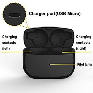 Lopnord Charging Case Compatible with Jabra Elite Active 65t / Elite 65t, Replacement Charger Case Only, Earbuds Protective Substitute Cover(Earbuds not Included) (Black)