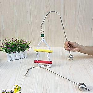 Baosity Bird Stainless Steel Hook Cage Perch Toys Stand Holder for Hamster Squirrel Macaw African Greys Finch Parakeet