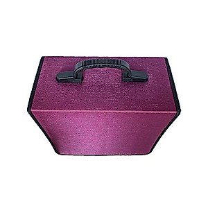 Penlonda CD/DVD Case Holder Organizer Wallet Sleeves Booklet Binder,Storage 400 Capacity Disc(Rose)