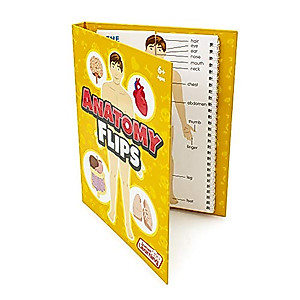 Junior Learning JL647 Anatomy Flips, Multi