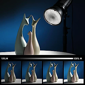 Godox SK400II 400Ws GN65 5600K Studio Strobe Flash Monolight Light for Studio Shooting,with Built-in Godox 2.4G Wireless X System,150W Modeling Lamp(Bowens Mount)