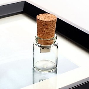 D-CLICK TM Bottle Shape USB High speed Flash Memory Stick Pen Drive Disk (8GB)
