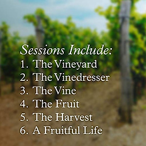 Chasing Vines Group Experience with DVD: Finding Your Way to an Immensely Fruitful Life