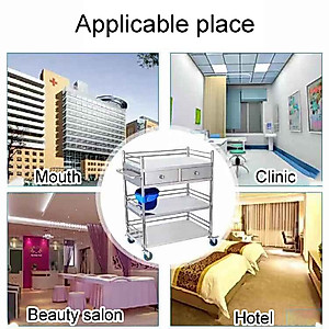 Stainless Steel Medical Cart, Lab Serving Cart, Utility Cart, with Two Drawers for Lab Equipment Use Grade Stainless Steel Utility Services (2 Shelves/ 2 Drawer) ( Size : 60x40cm(23.6x15.7in) )