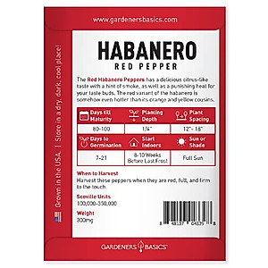 Red Habanero Pepper Seeds for Planting 100+ Heirloom Non-GMO Habanero Peppers Plant Seeds for Home Garden Vegetables Makes a Great Gift for Gardeners by Gardeners Basics