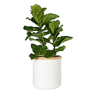 KOUBOO Round Coiled Rattan Twisty, Natural and White Storage Basket