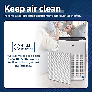 115115 HEPA Replacement Filter A Size 21 Compatible with Winix PlasmaWave C535 5300 5300-2 6300 6300-2 P300 AM90 9000 5000 5000B C909 9800 Air Purifier, 4 Pack