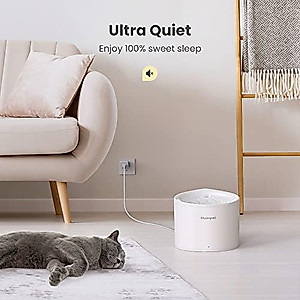 Huimpet Automatic Cat Water Fountain, 84oz/2.5L Pet Water Fountain for Cats Inside, Ultra Quiet Small Dog Water Bowl Dispenser, Silent Pump with Dry-Run Protection, LED Indicator Light, 2 Filters